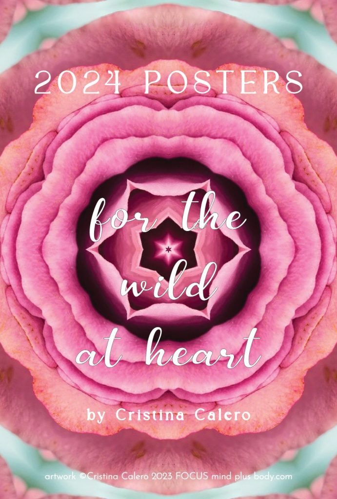 2024 POSTERS For The Wild At Heart